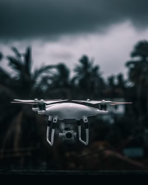Drones Gaurus